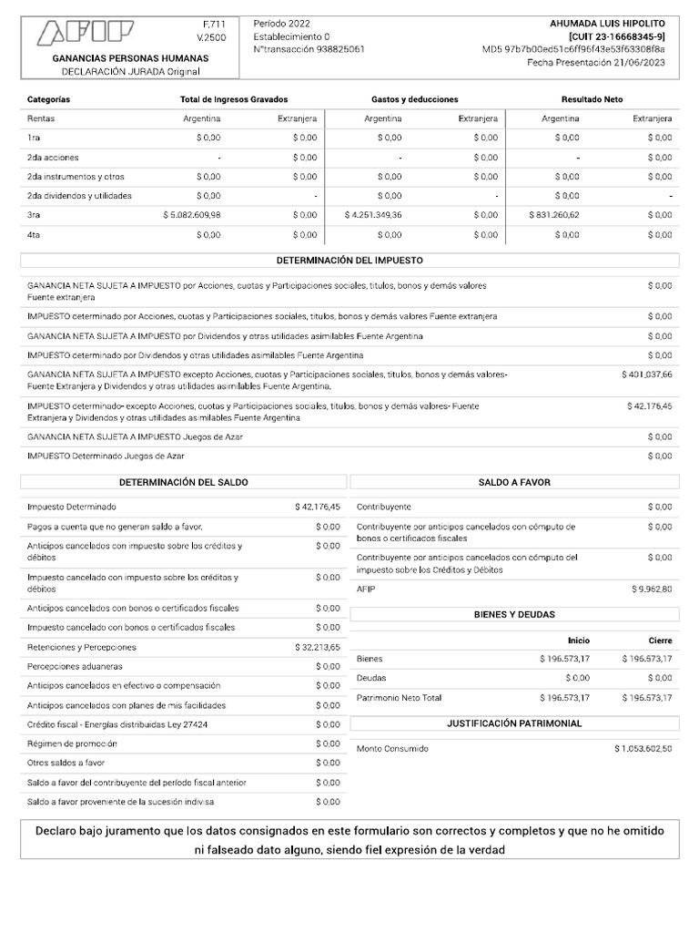 ddjj ganancias 2022 | PDF