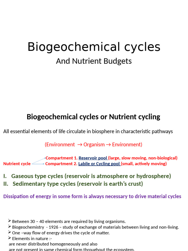 Biogeochemical Cycles | PDF | Ecosystem | Soil