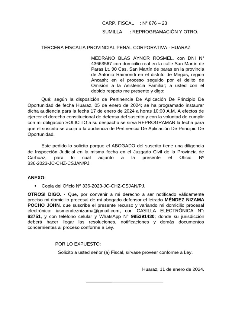 Escrito - 01 Reprogramación Apersonamiento | PDF