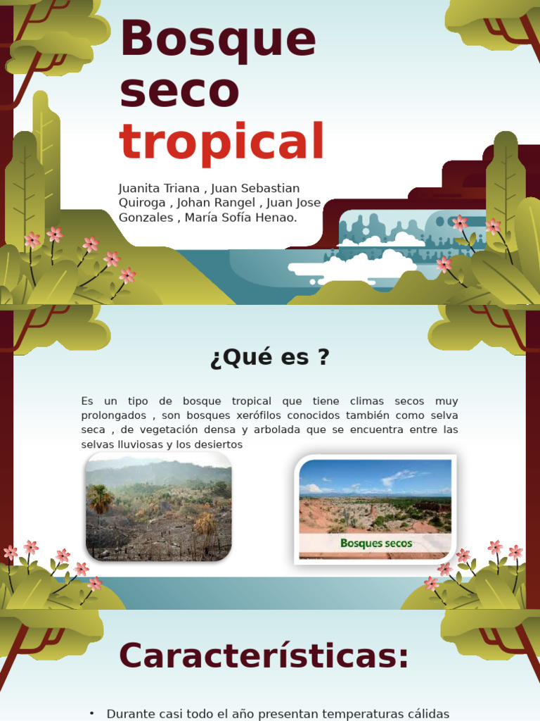 Bosque Seco Tropical | PDF | Zona tropical | Los bosques