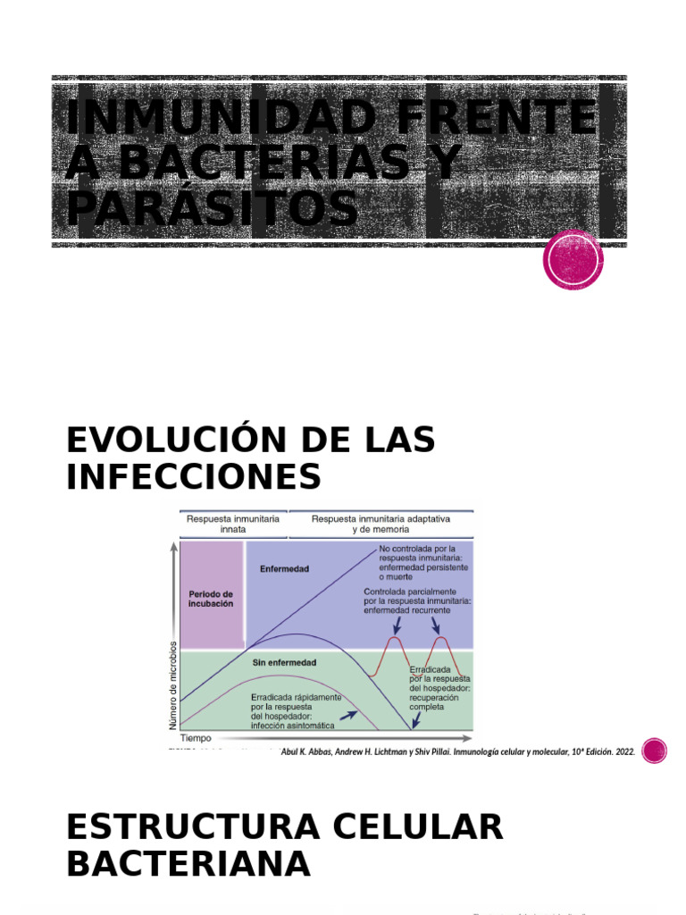 Respuesta Inmune Frenta a Bacterias y Parásitos | PDF | Sistema inmune | Anticuerpo