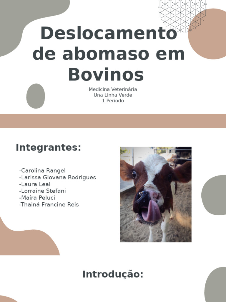 Deslocamento de Abomaso Bovino | PDF | Especialidades médicas | Remédio