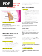 Clasificacion BI-RADS | PDF | Cáncer de mama | Medicina