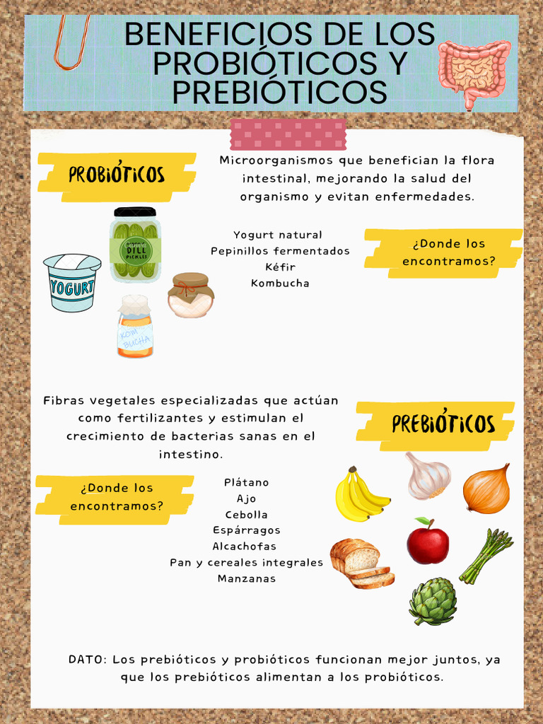 Beneficios de Los Probióticos y Prebióticos | PDF