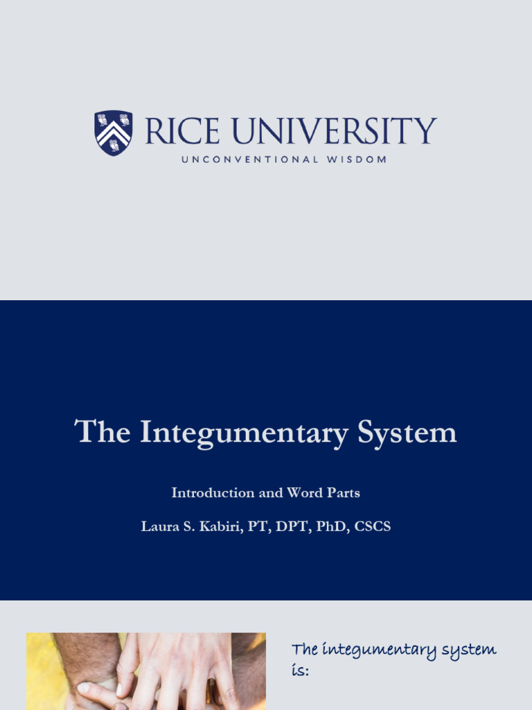 Handout-Integumentary Intro and Word Parts | PDF
