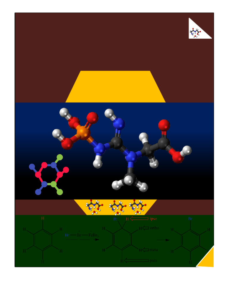 Orgdanic Chem Advance f6 Sample | PDF | Alkene | Isomer