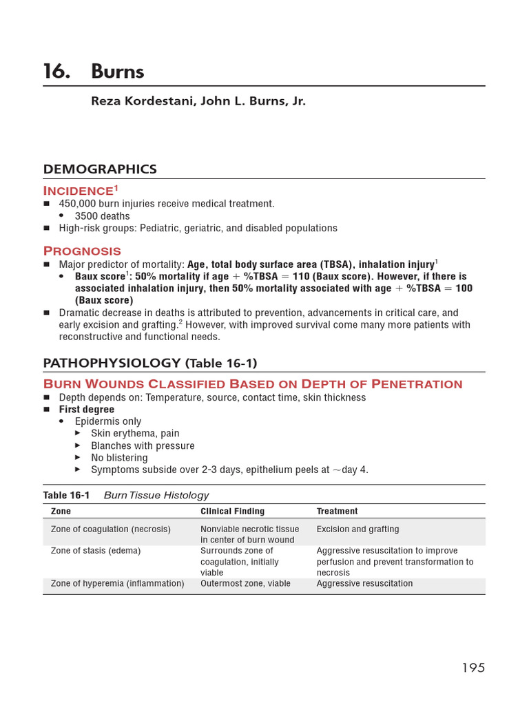 Comprehensive Guide to Burn Treatment | PDF | Burn | Diseases And Disorders