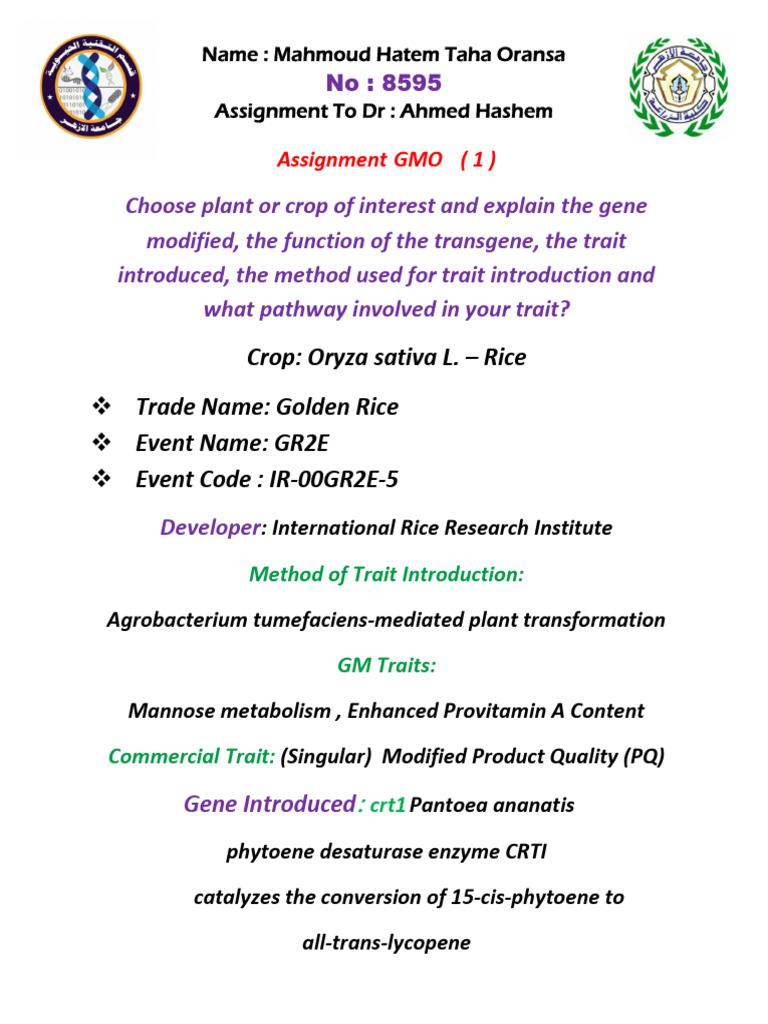 Mahmoud Hatem GMO 1 | PDF