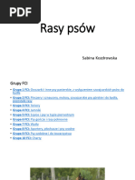 Rol11 2023 Styczen Egzamin Zawodowy Praktyczny | PDF