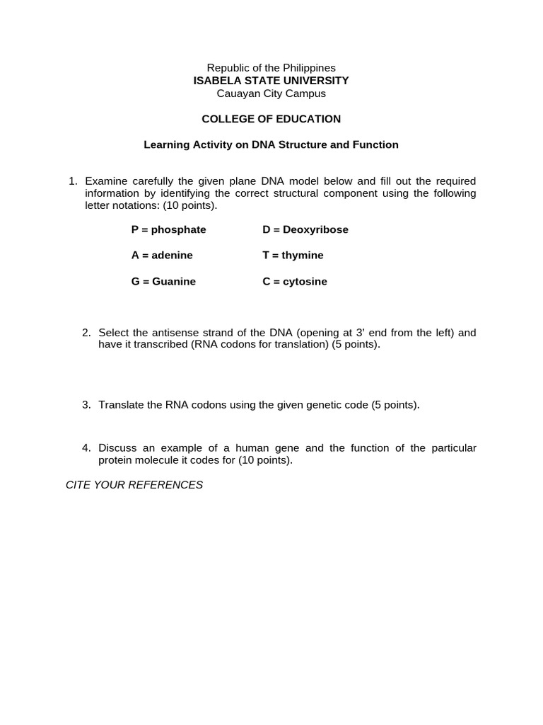 DNA Structure and Function Activity Guide | PDF