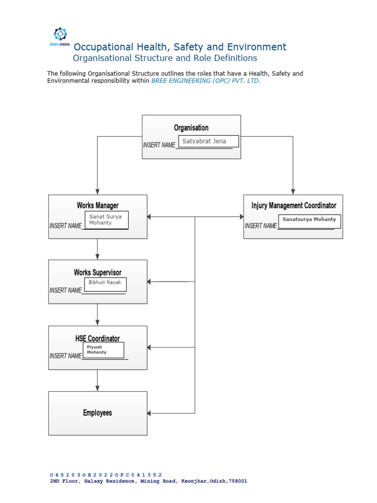 Hse Organizational Structure | PDF | Occupational Safety And Health ...