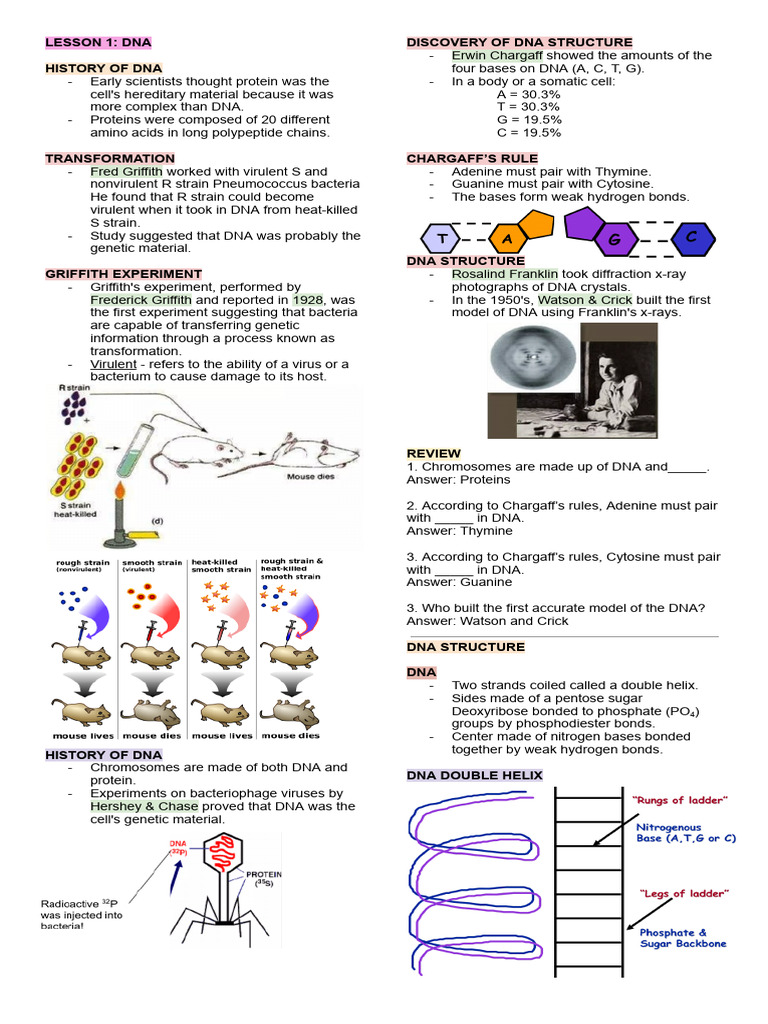 General Biology II 12 Q3 Reviewer (1) | PDF | Translation (Biology) | Dna