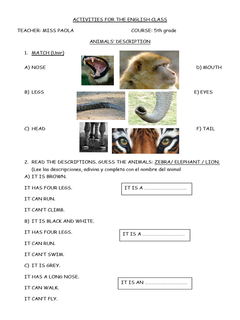 Animals' Descriptions | PDF