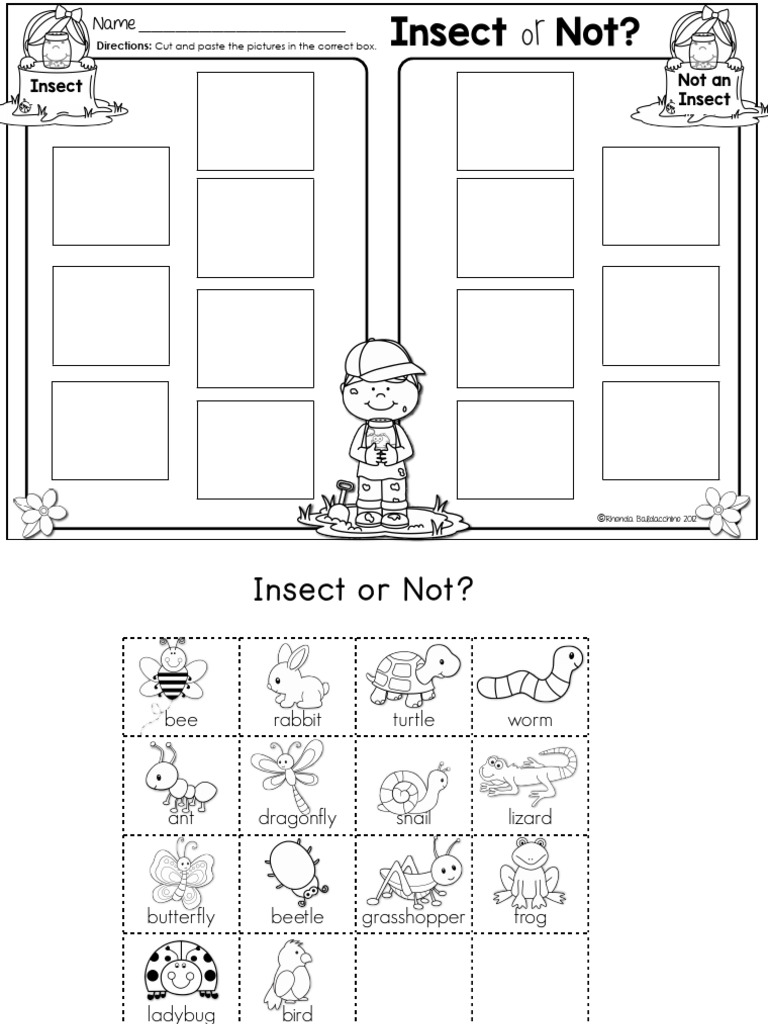 Insect or Not Activity (1)-Pages | PDF