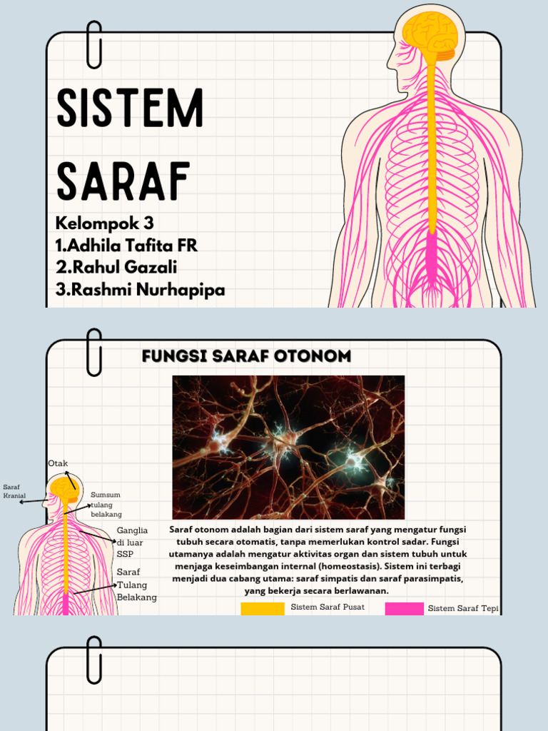 Fungsi dan Gangguan Sistem Saraf Otonom | PDF