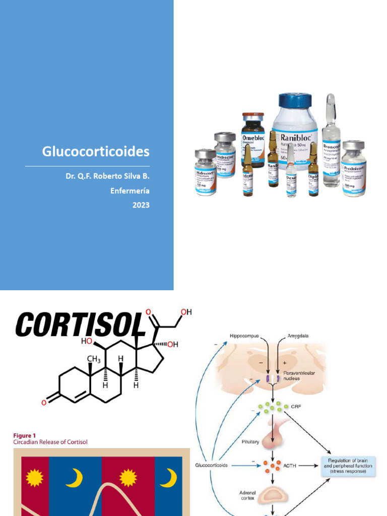 Corticoides Suprarrenales | PDF | Glucocorticoides | Corticosteroides
