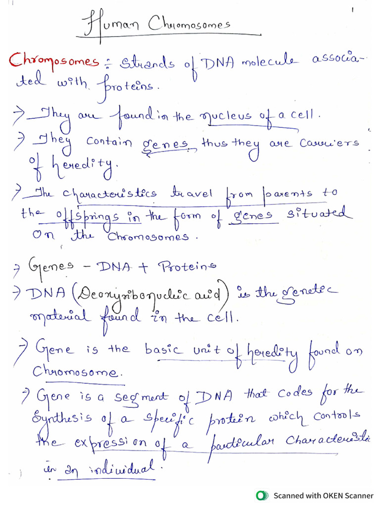 BIO CH-2 Human Chromosomes PART-1 | PDF
