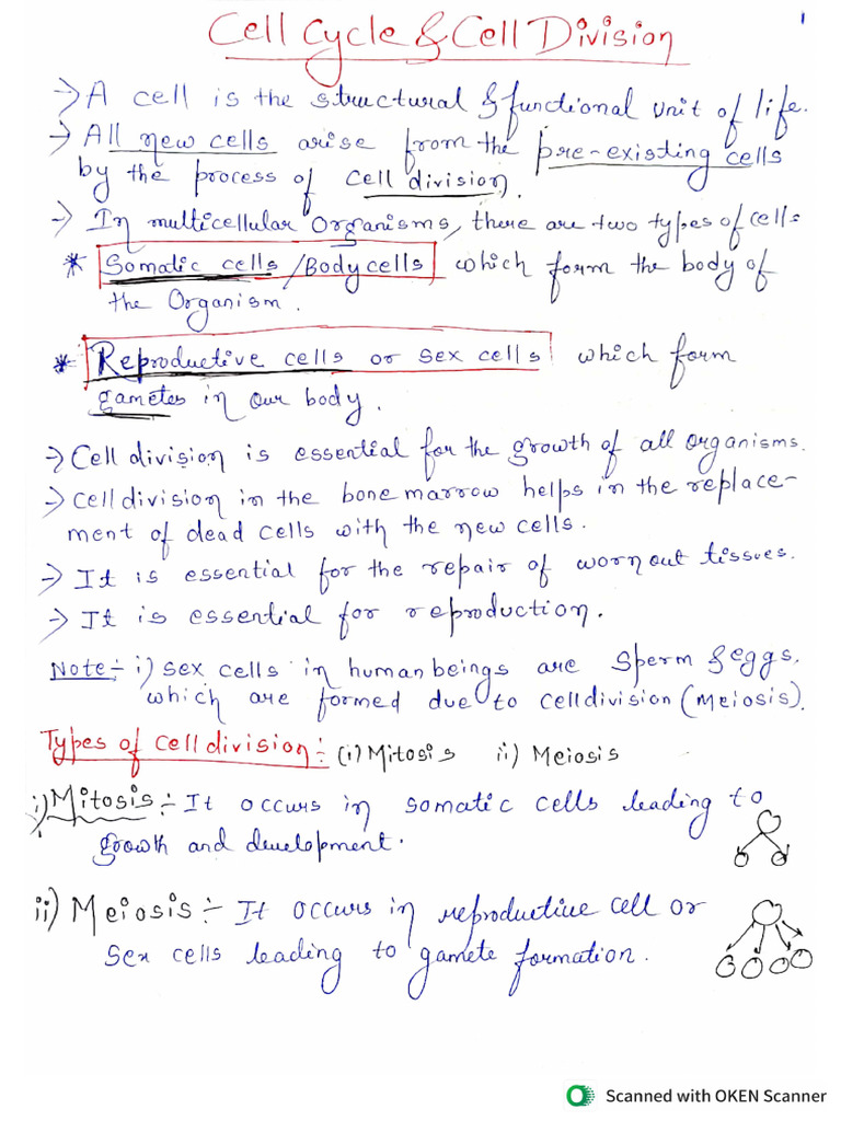 Cell Cycle & Cell Division Part-1 | PDF