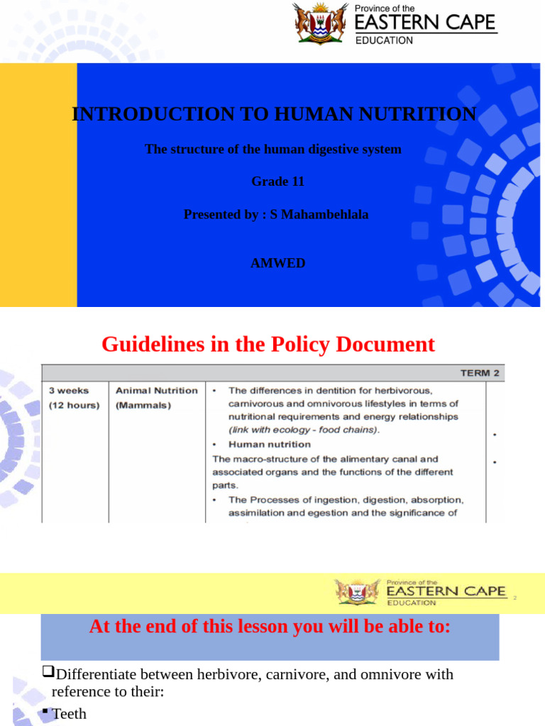 00 Life Sciences Grade 11 Introduction To Human Nutrition Powerpoint ...