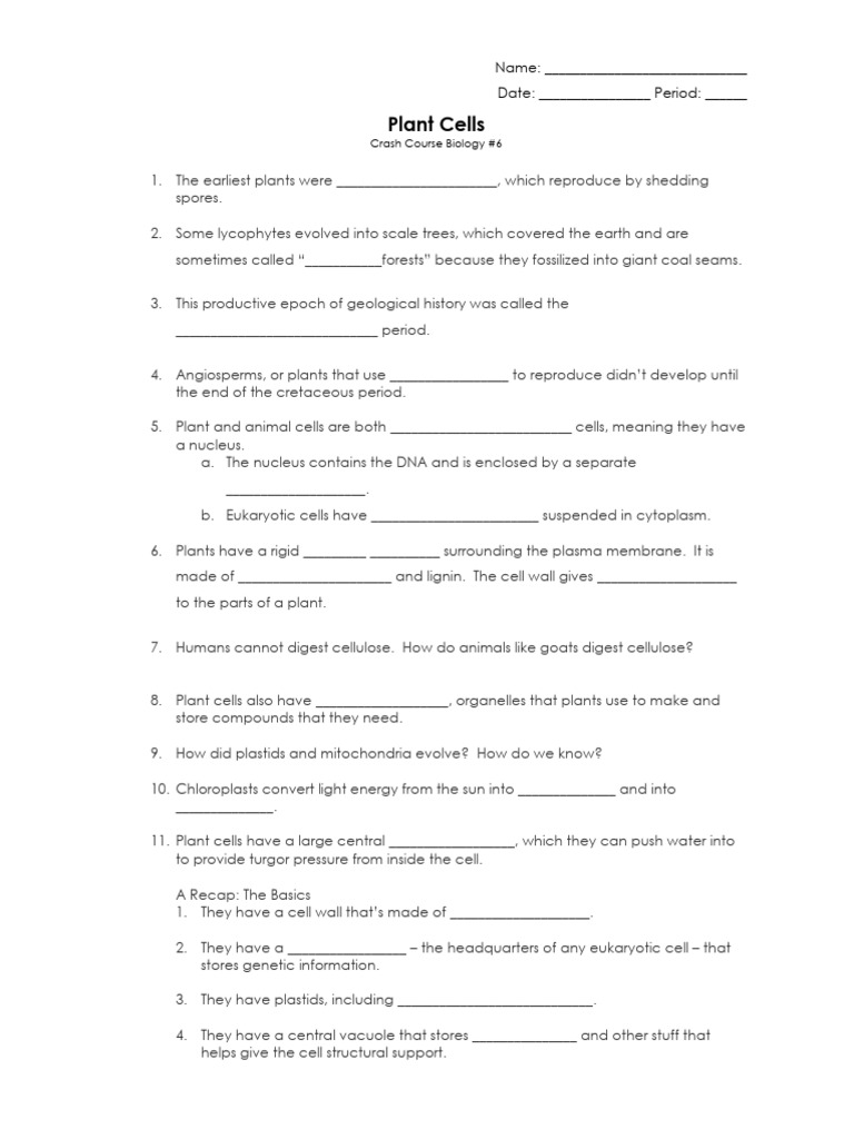 Crashcourse6 Plant Cells - Student | PDF | Cell (Biology) | Plants
