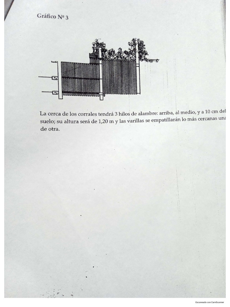 Insta Laci Ones | PDF