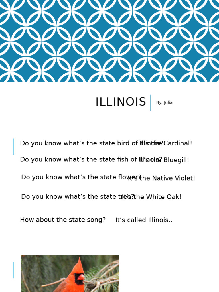 Illinois State Facts and Symbols | PDF