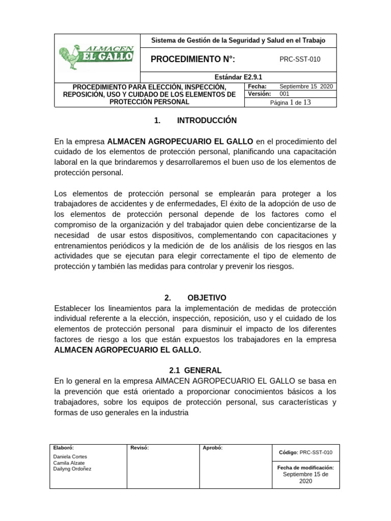 Aspectos Basicos Del Programa de Epp 2020 | PDF