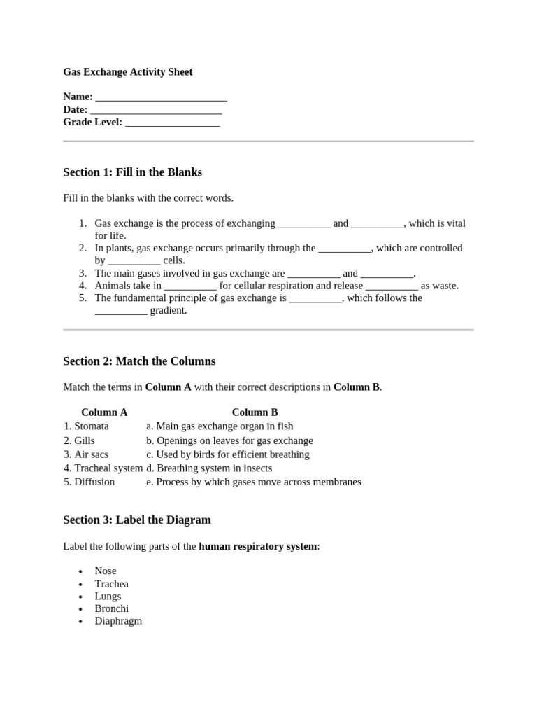 Gas Exchange Activity Sheet | PDF | Respiratory System | Breathing