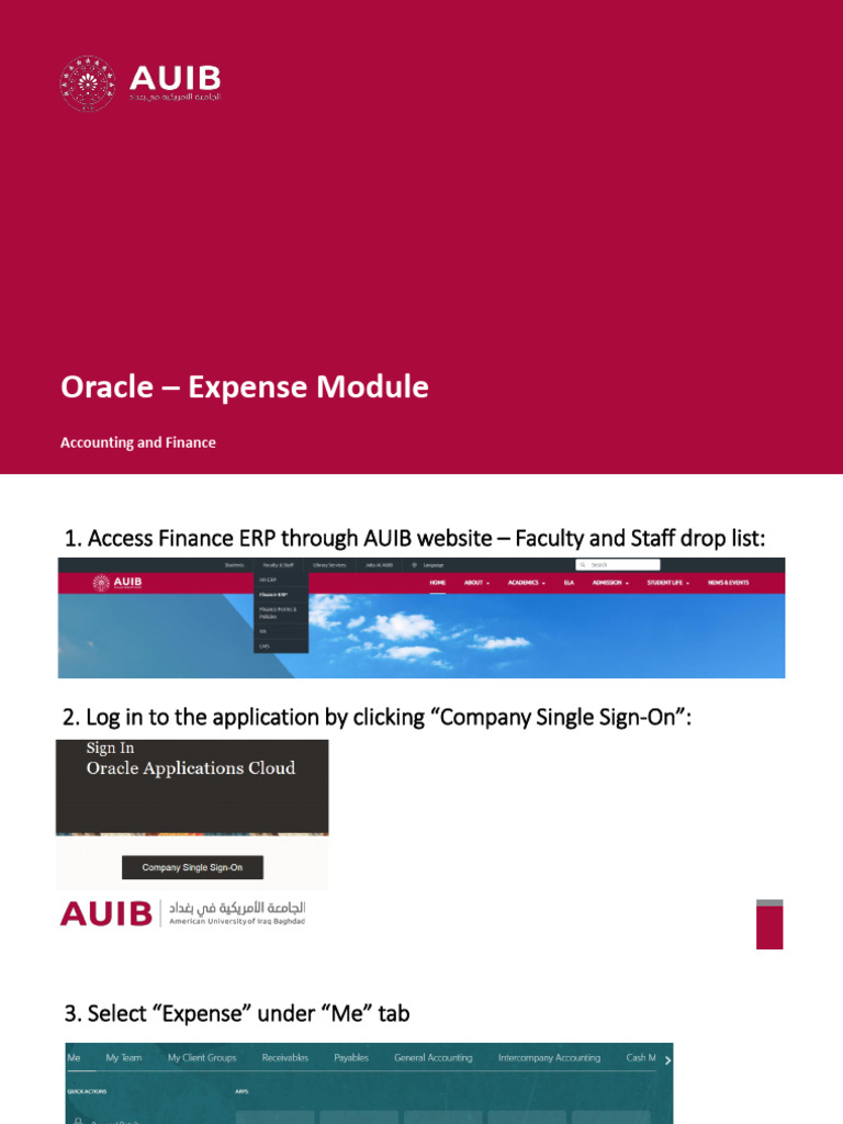 AUIB - Oracle Expense Module | PDF