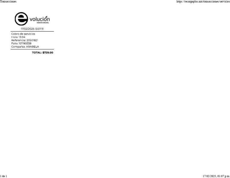 Trans Acci Ones | PDF