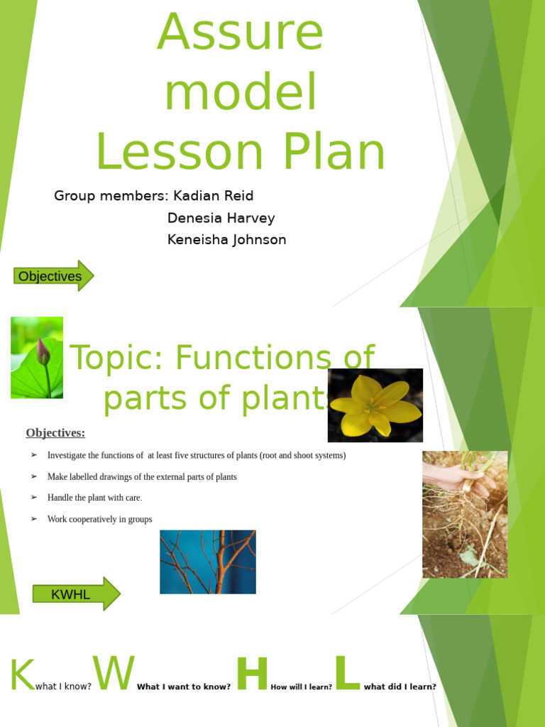 Assure Lesson Plan active powerpoint | PDF | Plants | Root