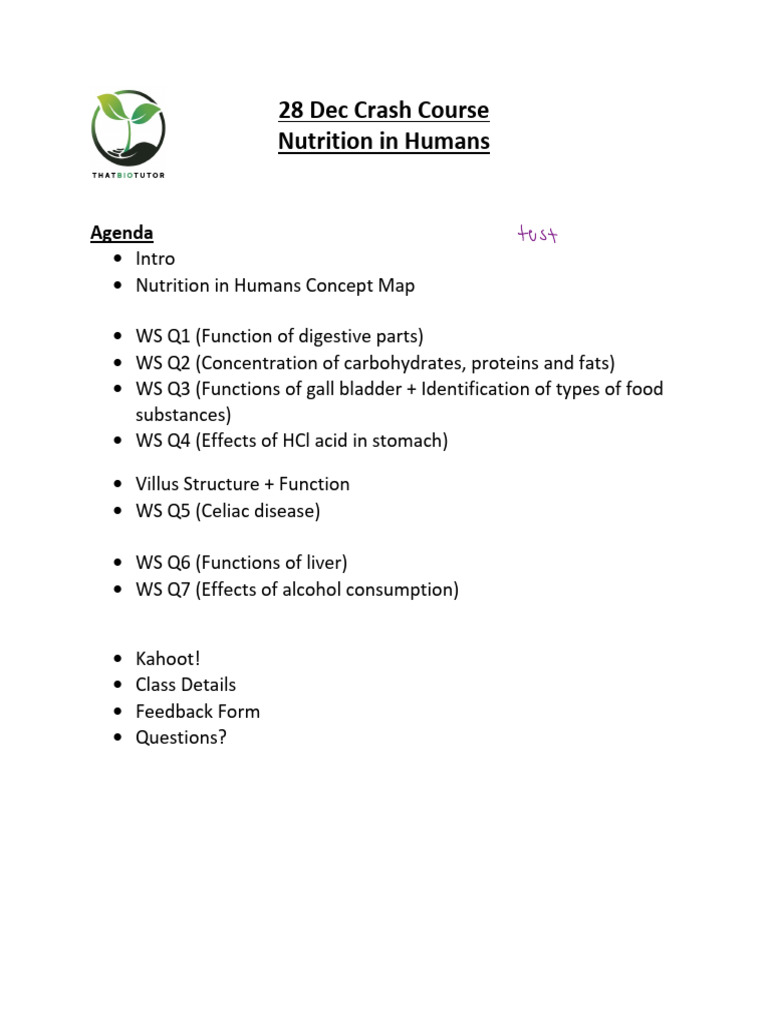 (Inkings) 28 Dec Crash Course (Nutrition in Humans) (1) | PDF | Stomach ...