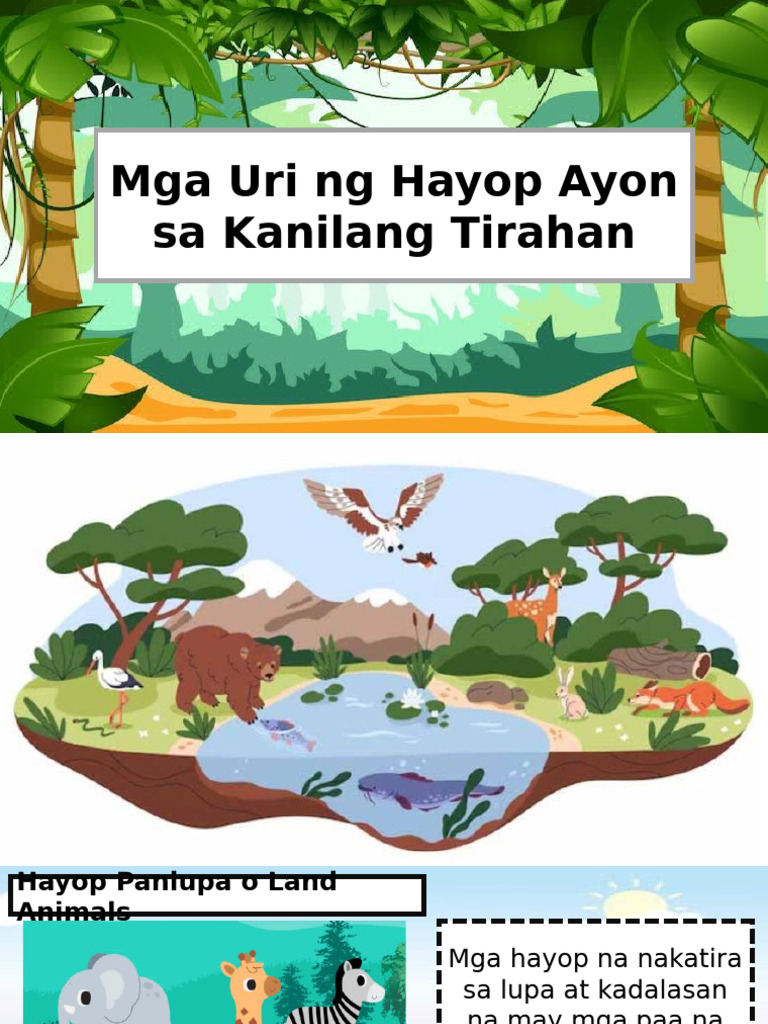 Animal Habitat | PDF