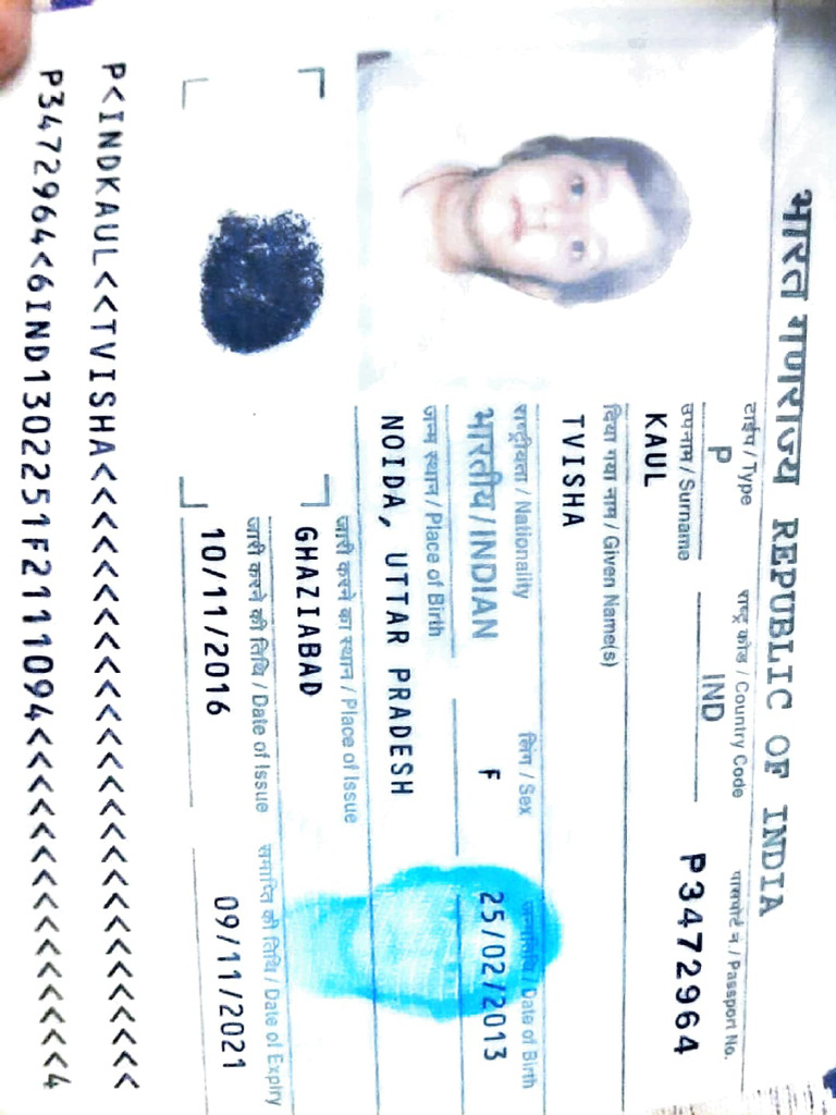 Indian Passport Details Summary | PDF