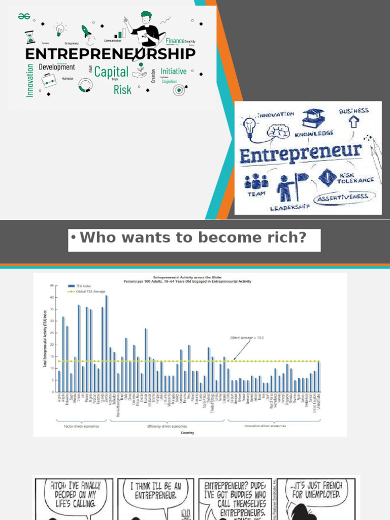 Introduction To Entrepreneur | PDF