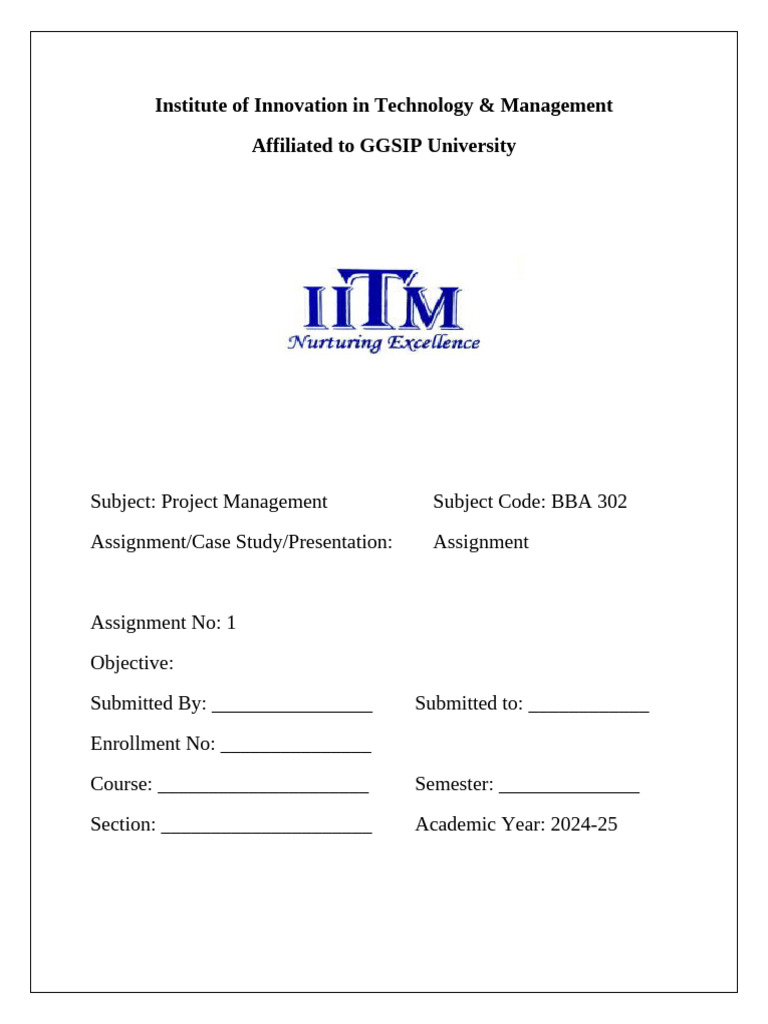 BBA Project Management Assignment | PDF