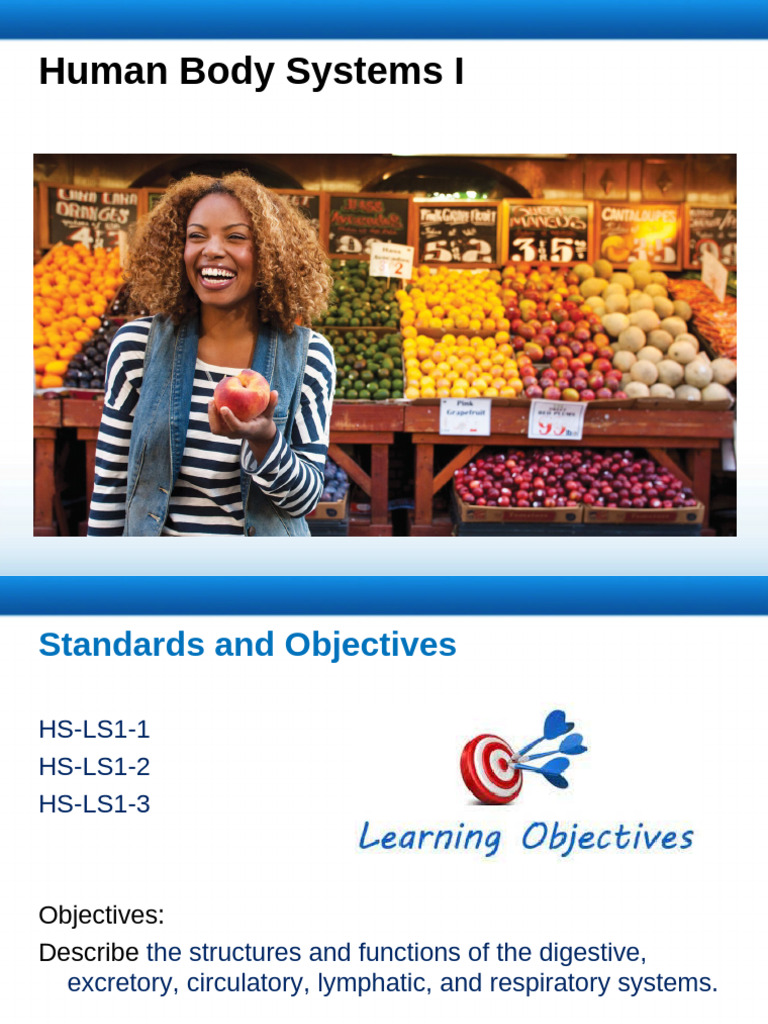 High School Human Body Systems | PDF | Heart | Kidney