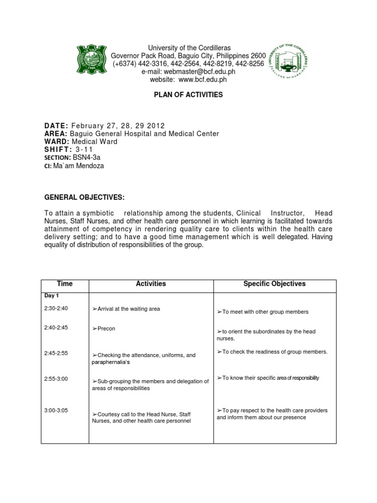 Plan of Activities For Head Nursing | PDF | Nursing | Hospital