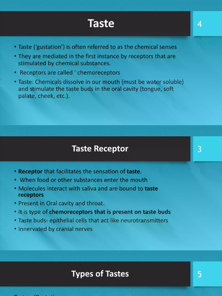 Taste ppt | PDF