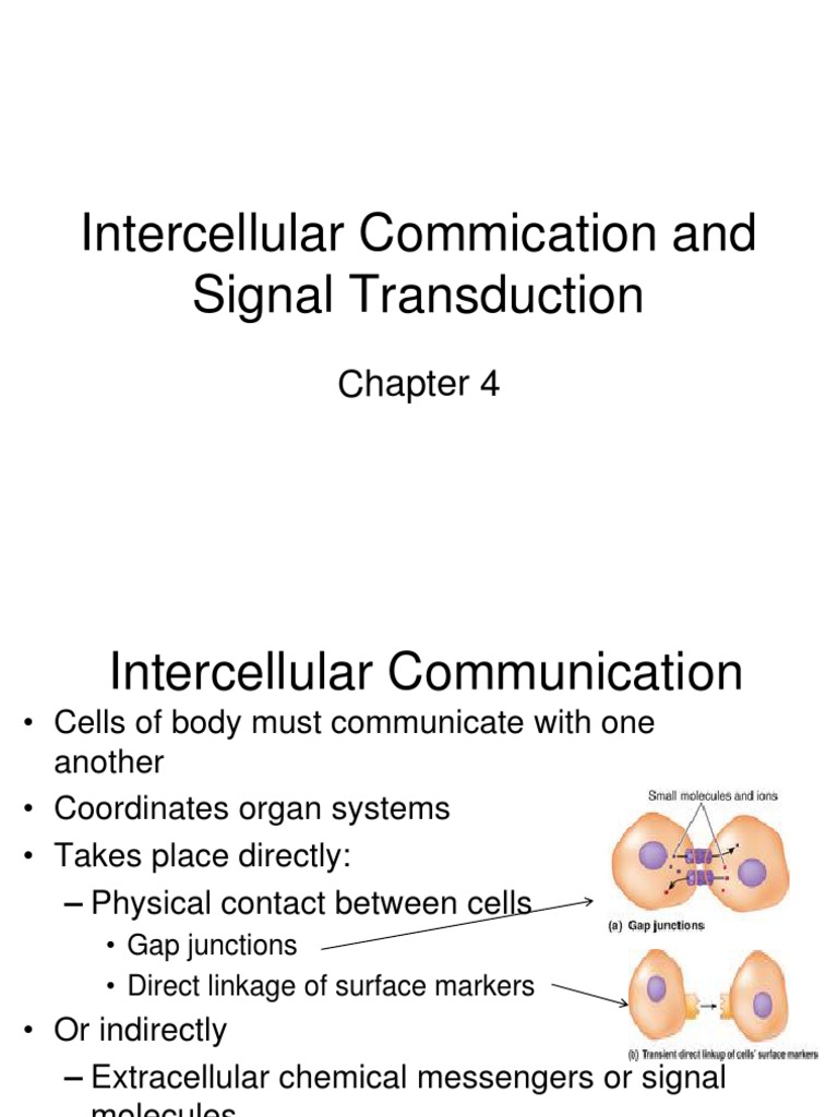 Intercellular Commication and Signal Transduction | PDF | Cell ...