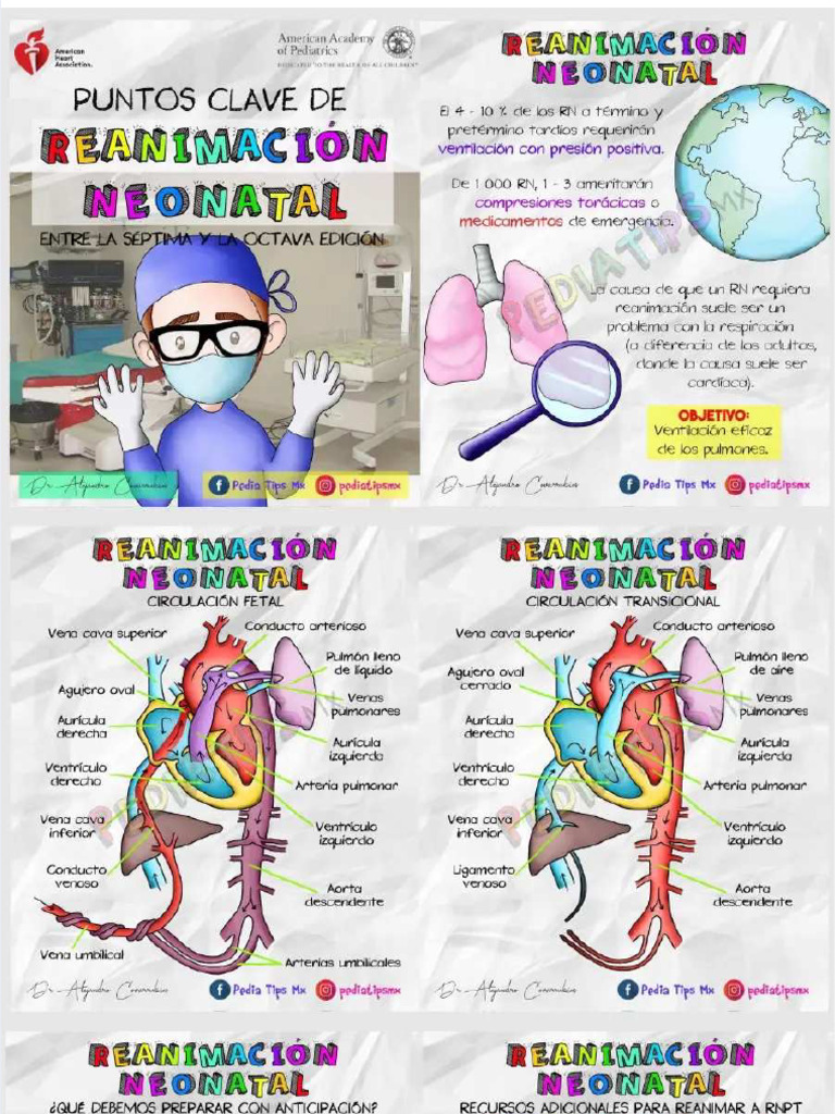 Rcp Neonatal 8va Edicion Compress | PDF