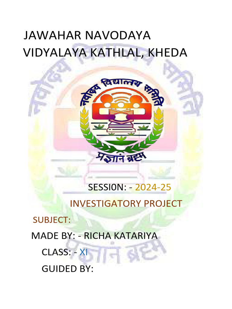 Richa Katariya Chemistry Project. 2.0 | PDF