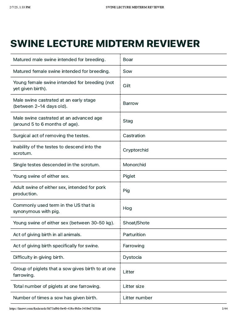 Swine Breeding and Care Terminology Guide | PDF | Pig