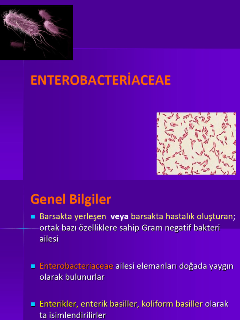 DHF 102 F-6- Enterobacteriaceae'Ler | PDF
