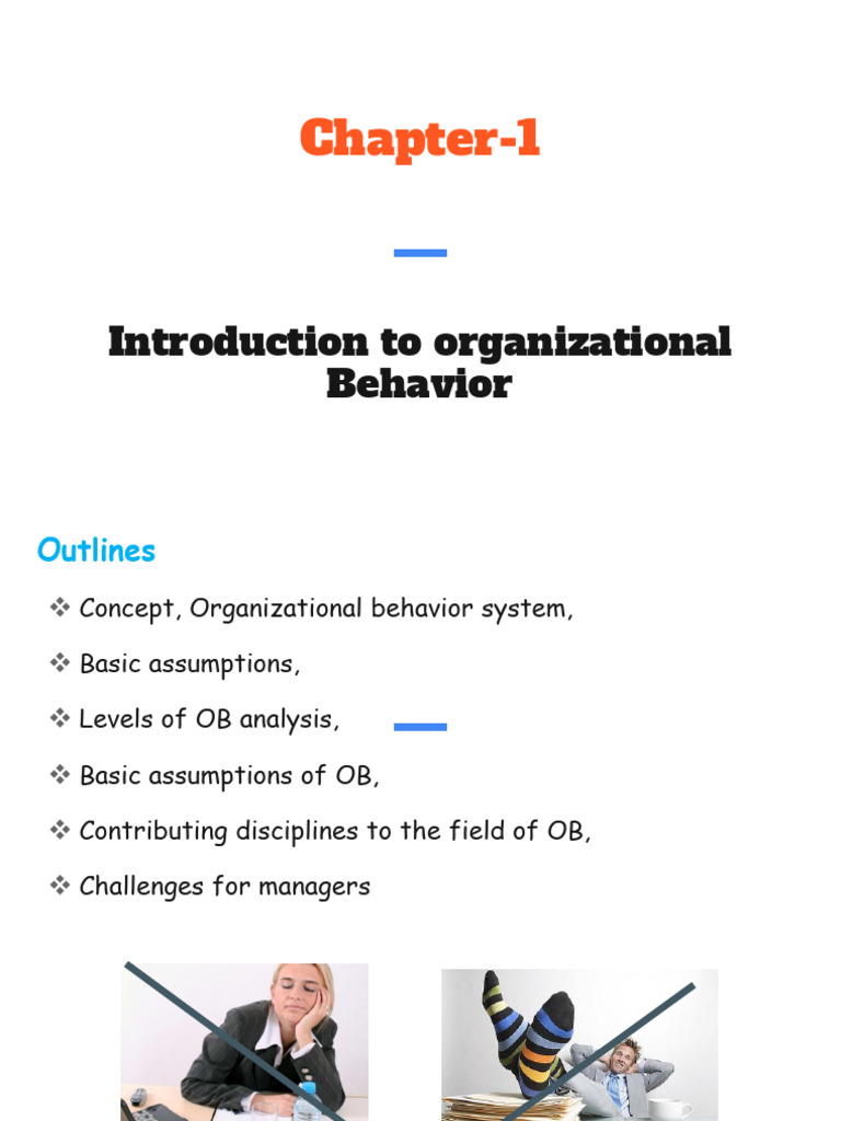 Introduction to Organizational Behavior | PDF | Organizational Behavior ...