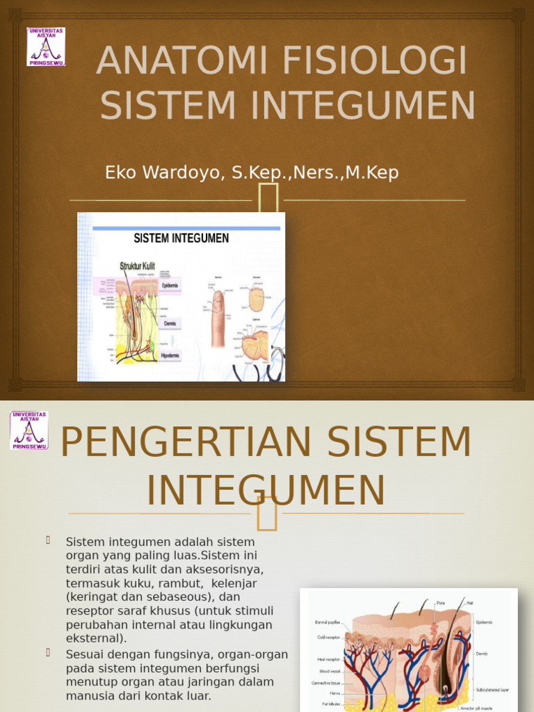 Anfis Sistem Integumen | PDF