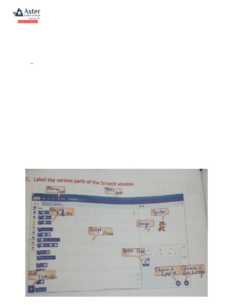 Scratch Basics for Class III | PDF