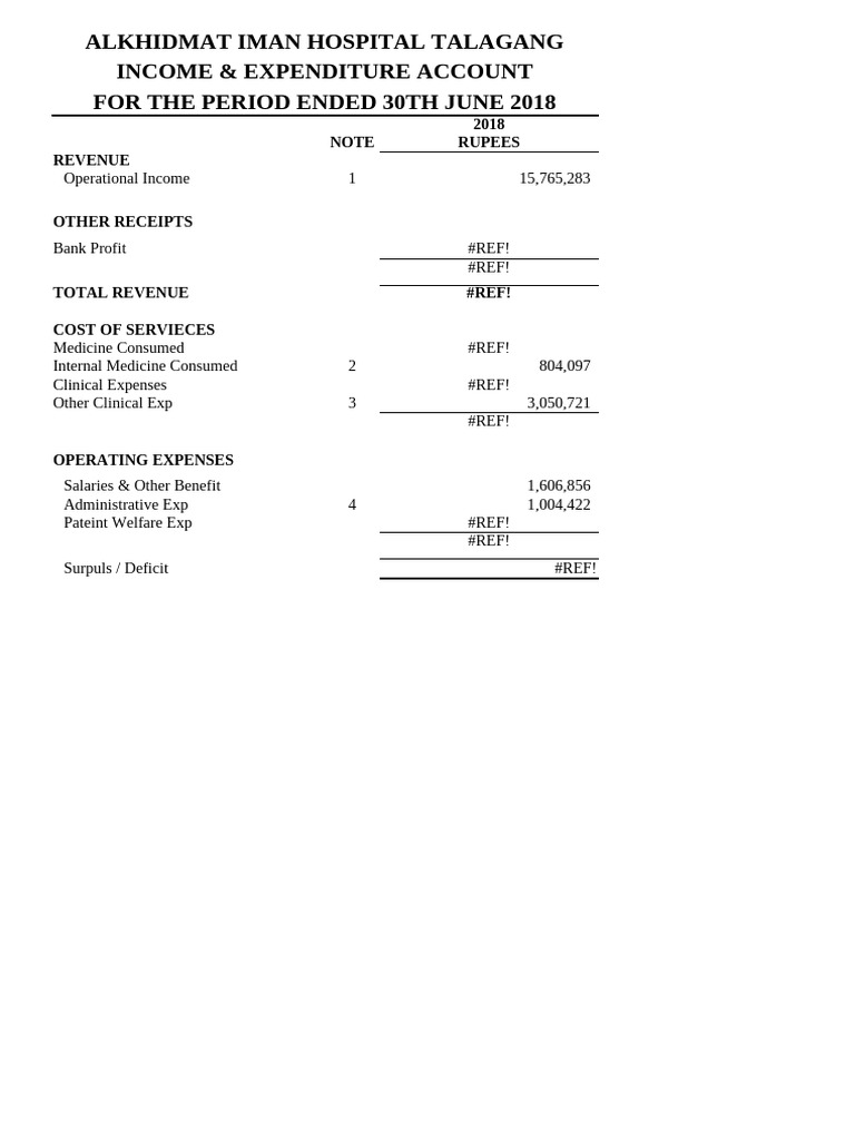 Financial Statements AKF Diagnostic Center Daharki_2024 | PDF | Debits ...