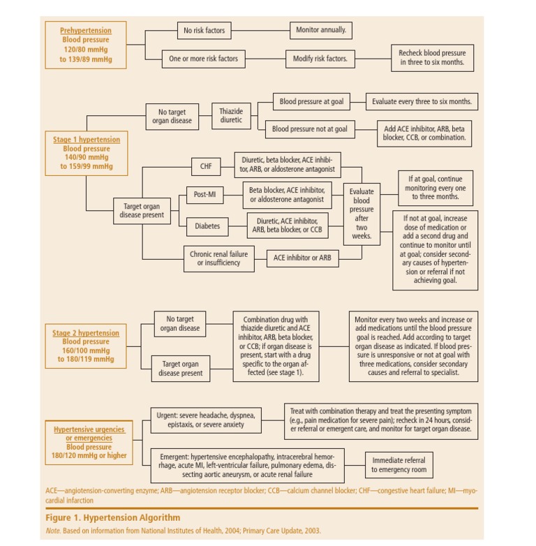 Hypertension Treatment Algorithm: A Guide for Managing Hypertension ...