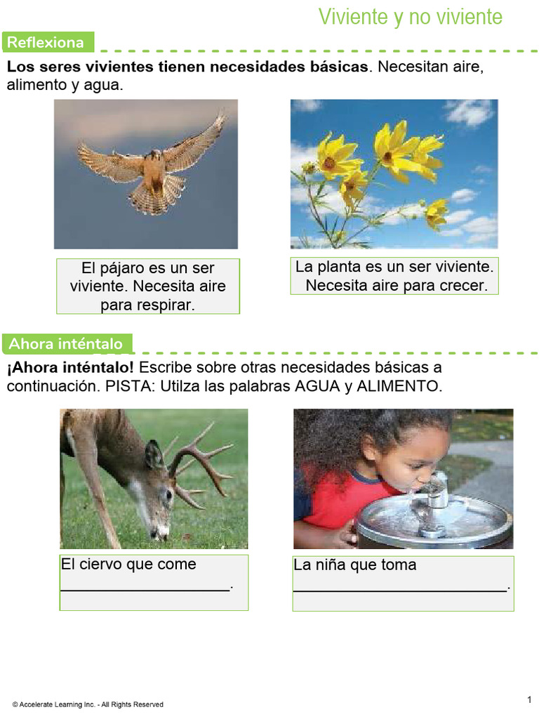 TX K.9A LivingandNonliving EXPLAIN STEMscopedia SPA | PDF